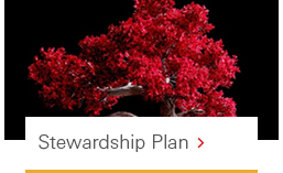 Stewardship | HSBC Asset Management